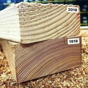 A Century Apart: Comparing 2x4 Lumber from 1918 and 2018 - Commercial ...